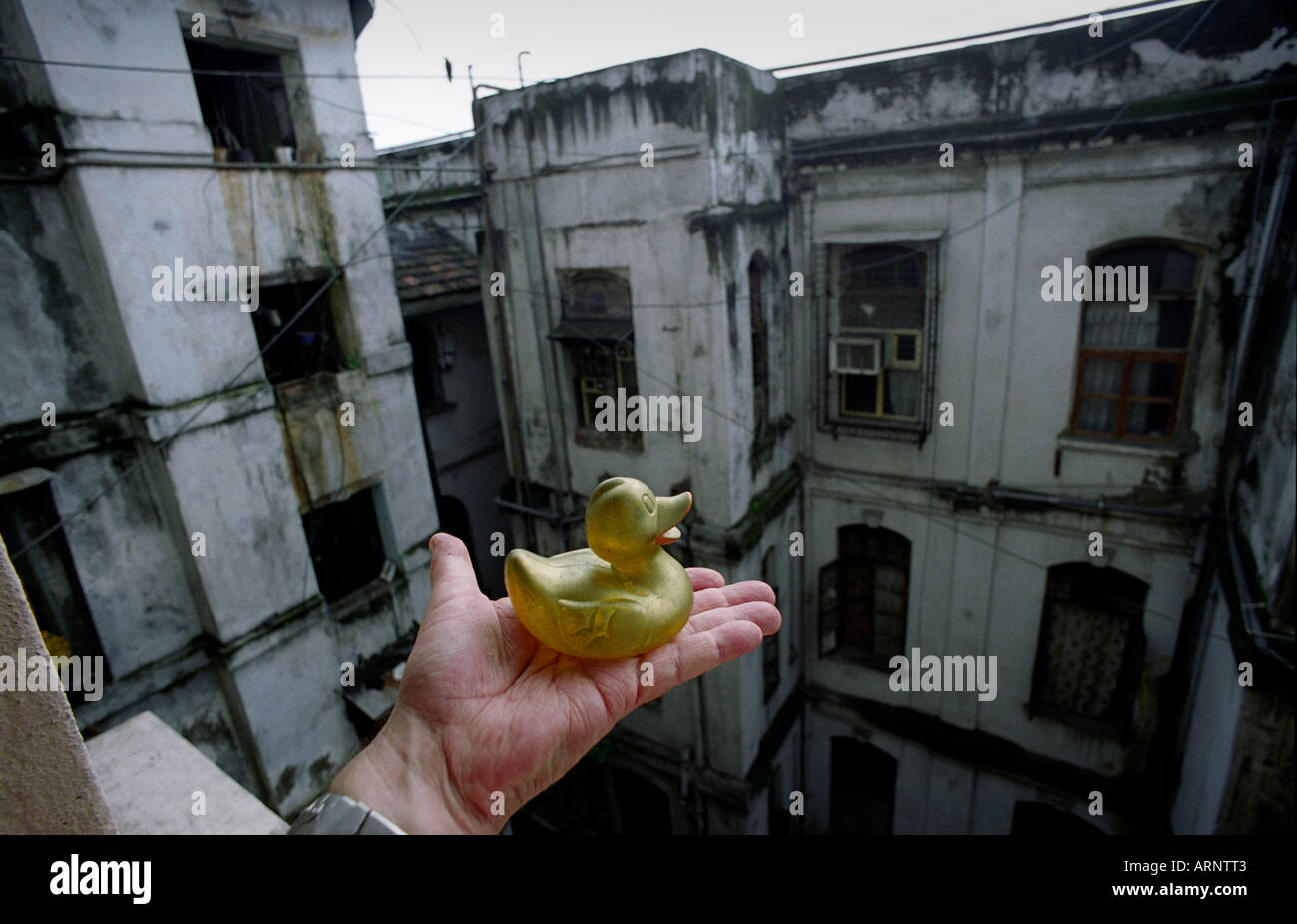 Bombay duck hi-res stock photography and images - Alamy