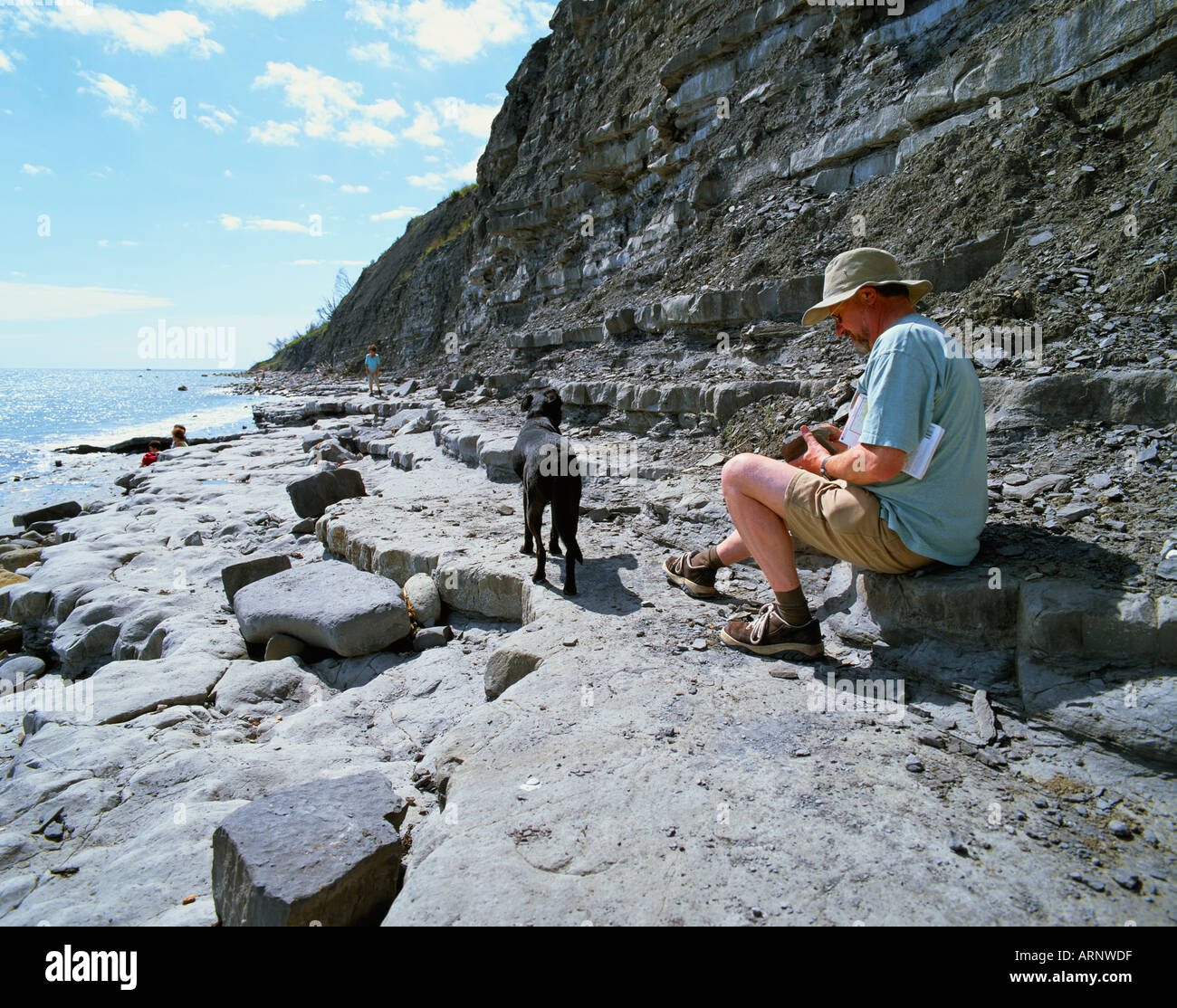 The undercliff lyme regis hi-res stock photography and images - Alamy