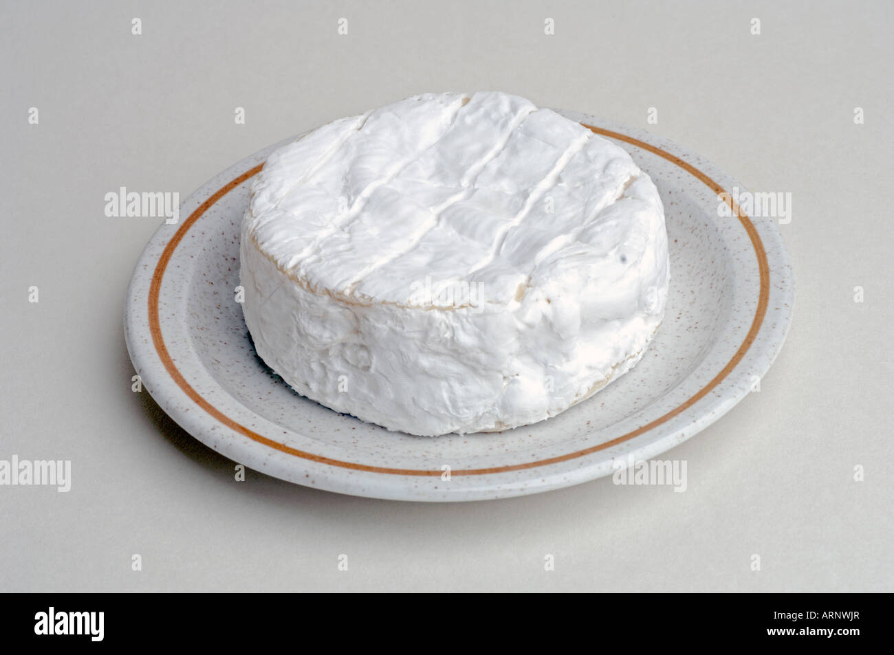 Penicillium Candida High Resolution Stock Photography and Images - Alamy