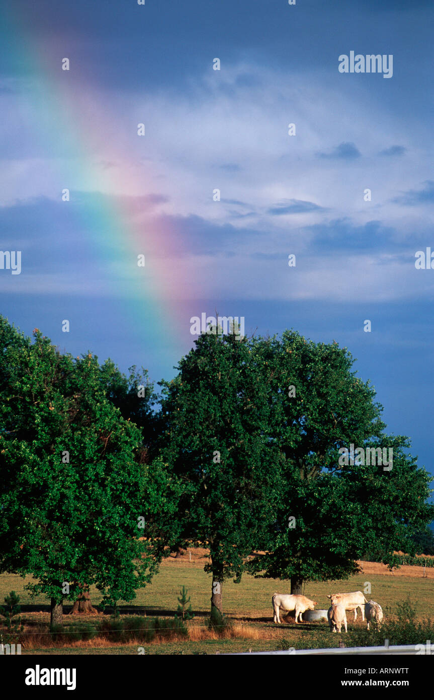 france, central region countryside, rainbow over farms Stock Photo - Alamy