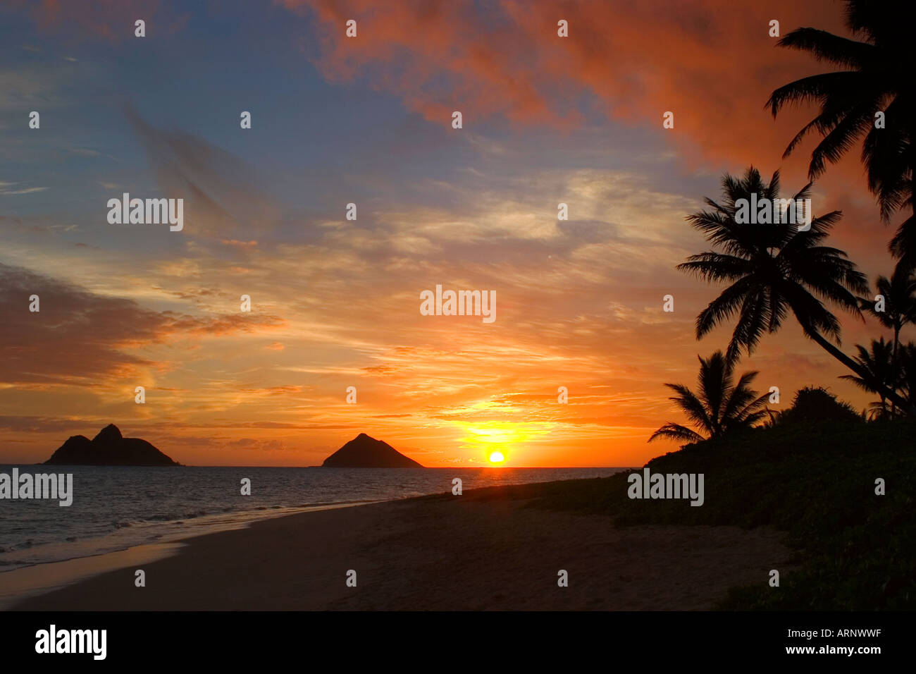Sunrise over Mokulua "Mokes" Islands, Oahu, Hawaii Stock Photo - Alamy