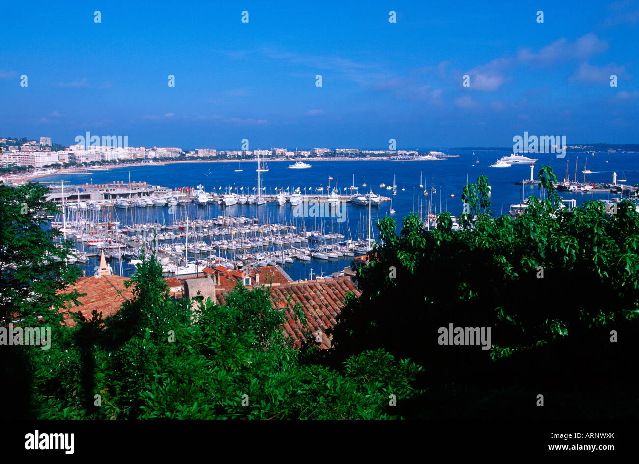 Cannes docks hi-res stock photography and images - Alamy