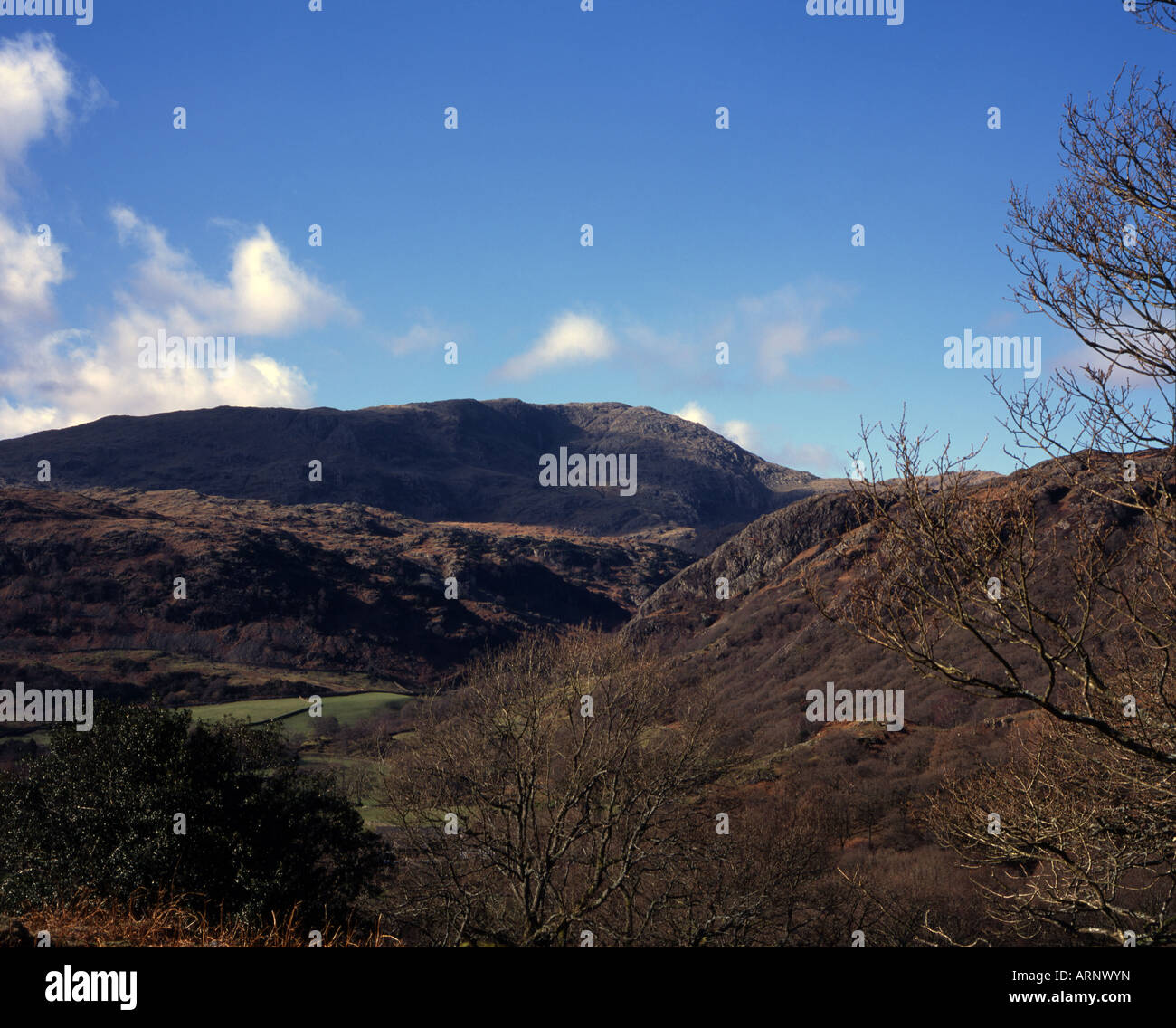 Wetherlam viewed from near Tarn Hows near Coniston Lake Distirct ...
