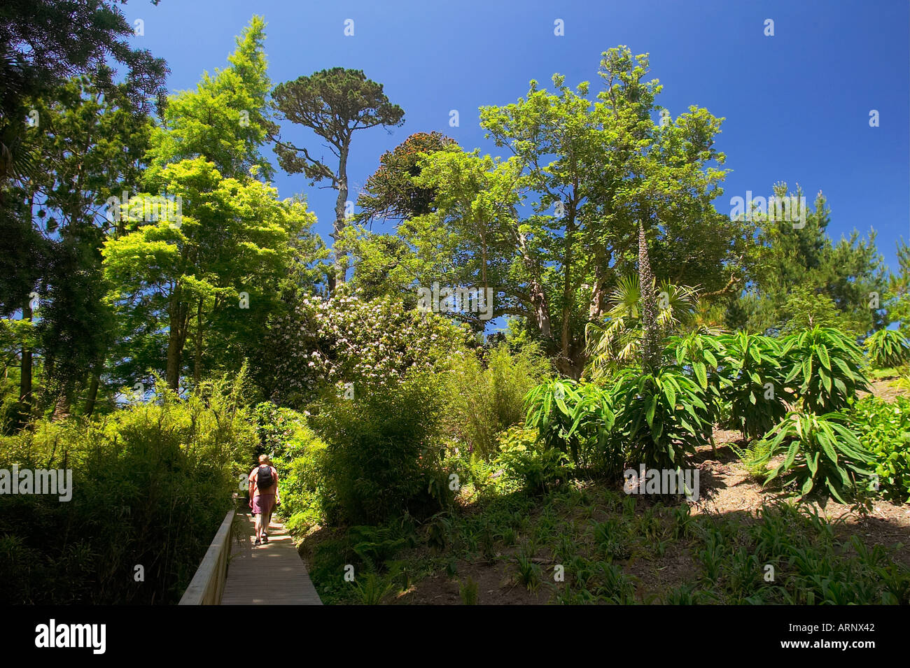 The hidden gardens of heligan hi-res stock photography and images - Alamy