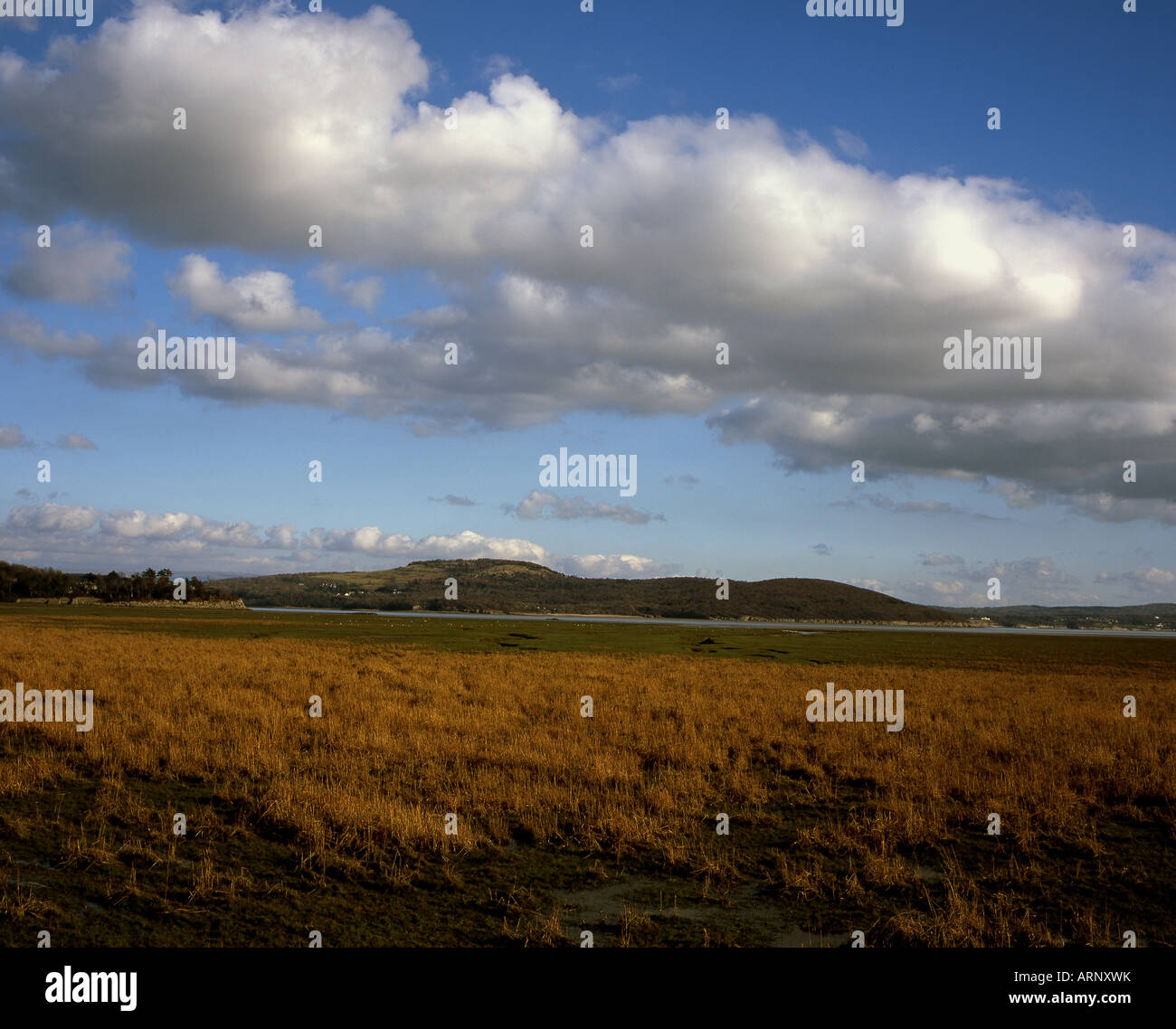 Salt marsh and estuary of The River Kent Grange-over-Sands Arnside ...