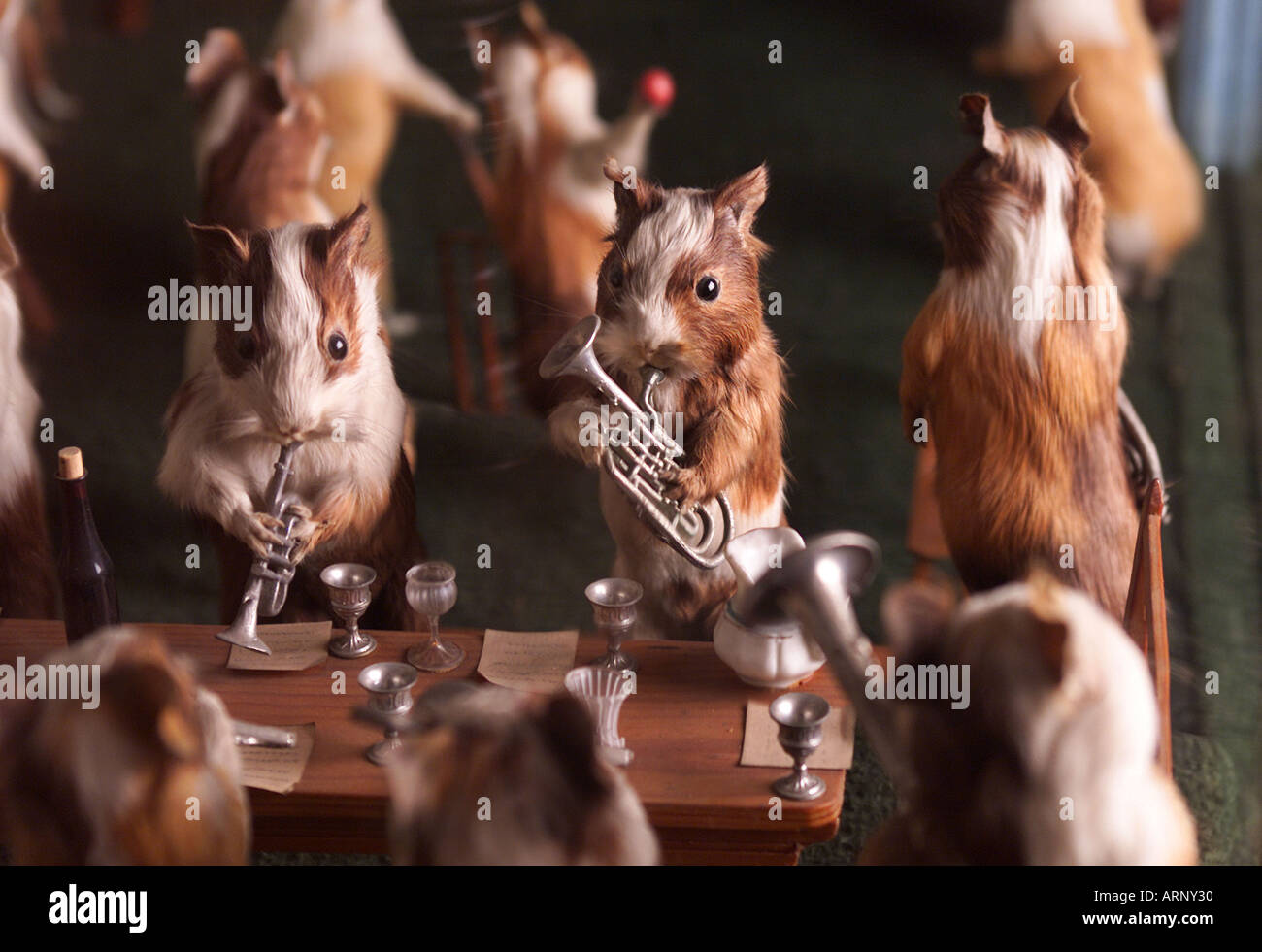 Walter Potter Squirrels