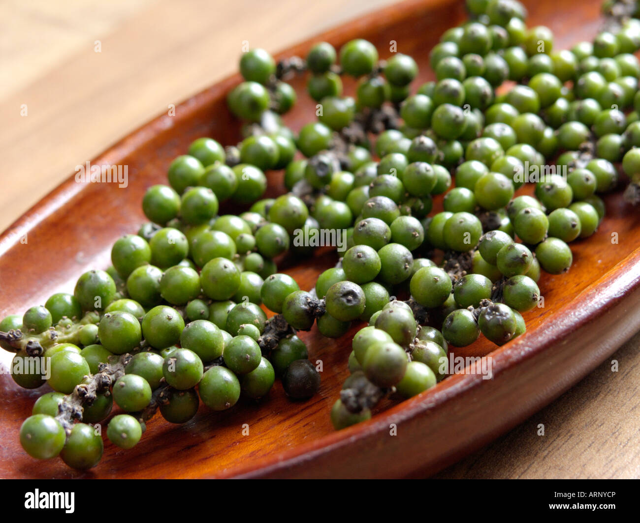 Plant species piper nigrum hi-res stock photography and images - Alamy
