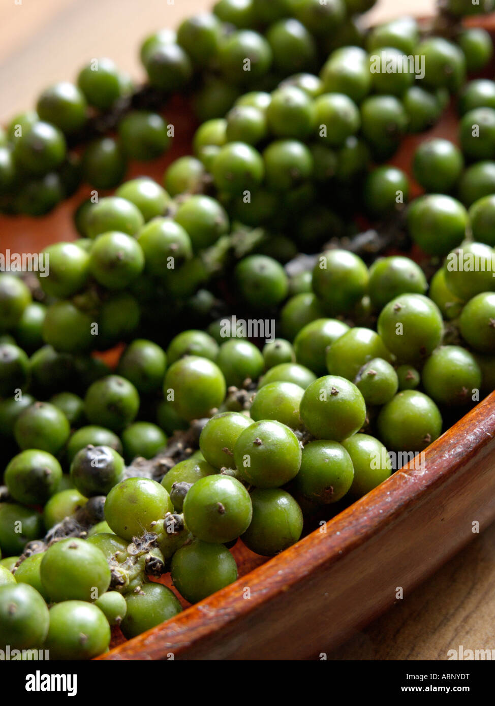 Piper nigrum plant hi-res stock photography and images - Alamy