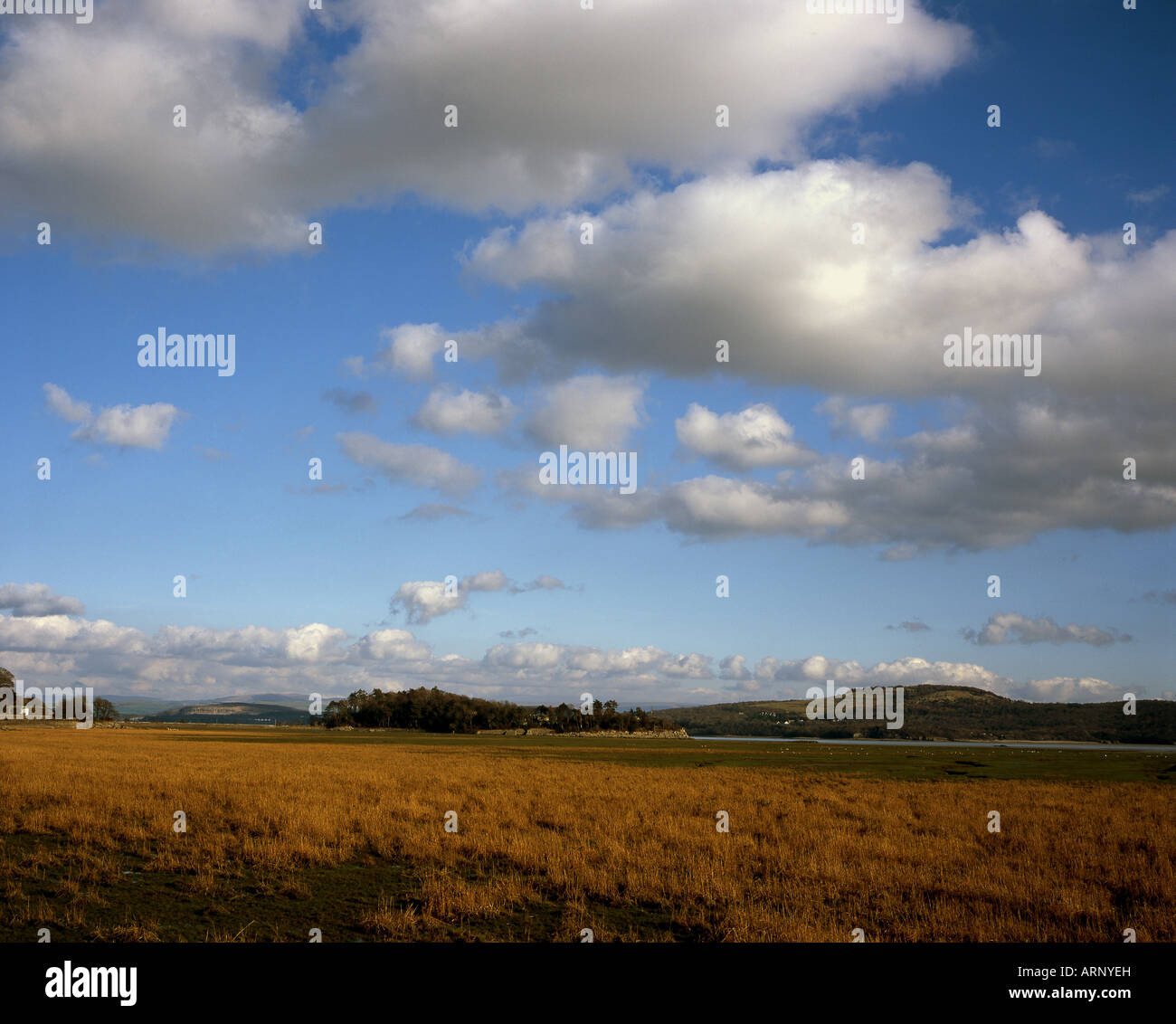 Salt marsh and estuary of The River Kent Grange-over-Sands Arnside ...