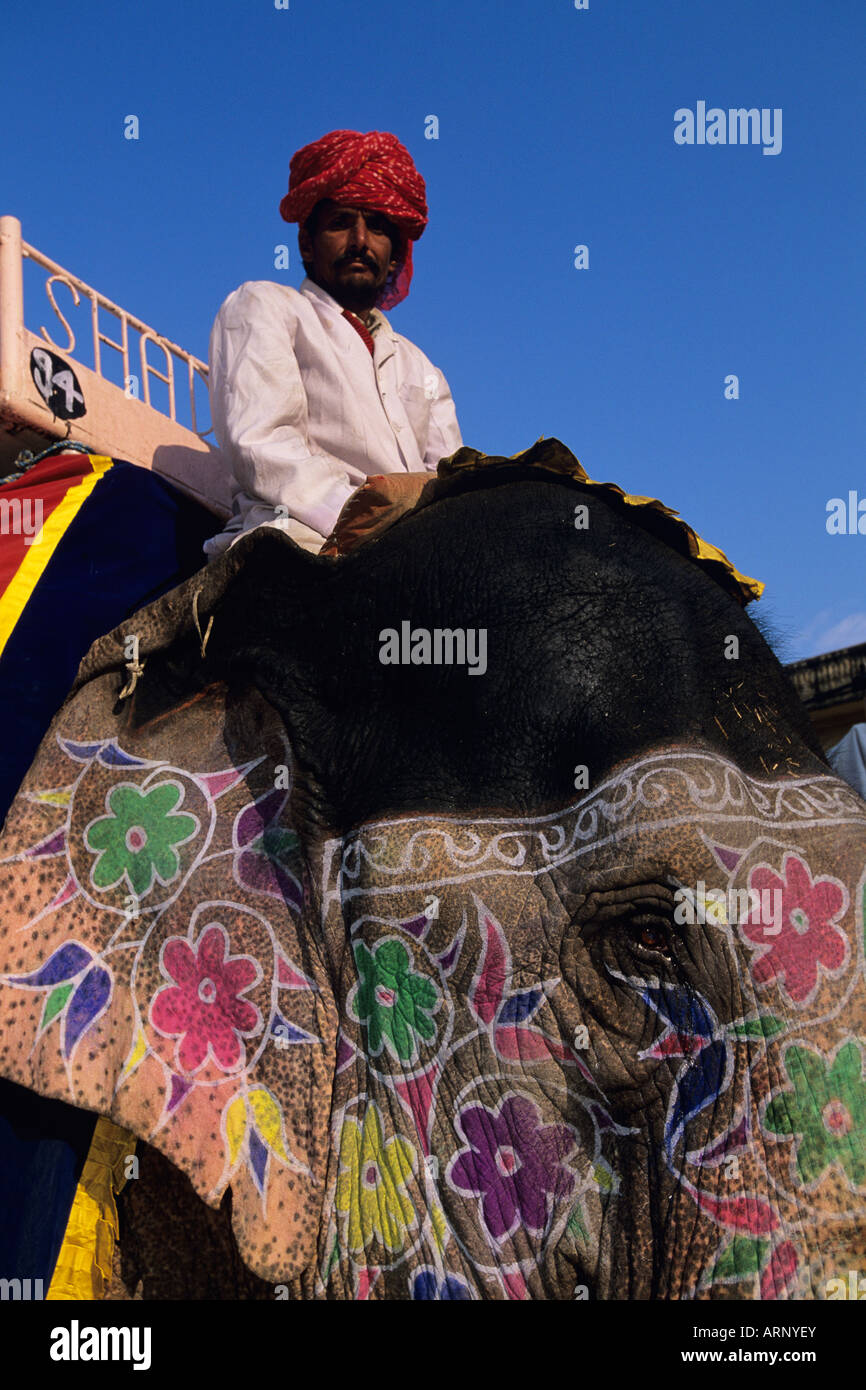 India, Rajsatan, Jaipur area at Amber Fort. Elephants and mahoot Stock ...