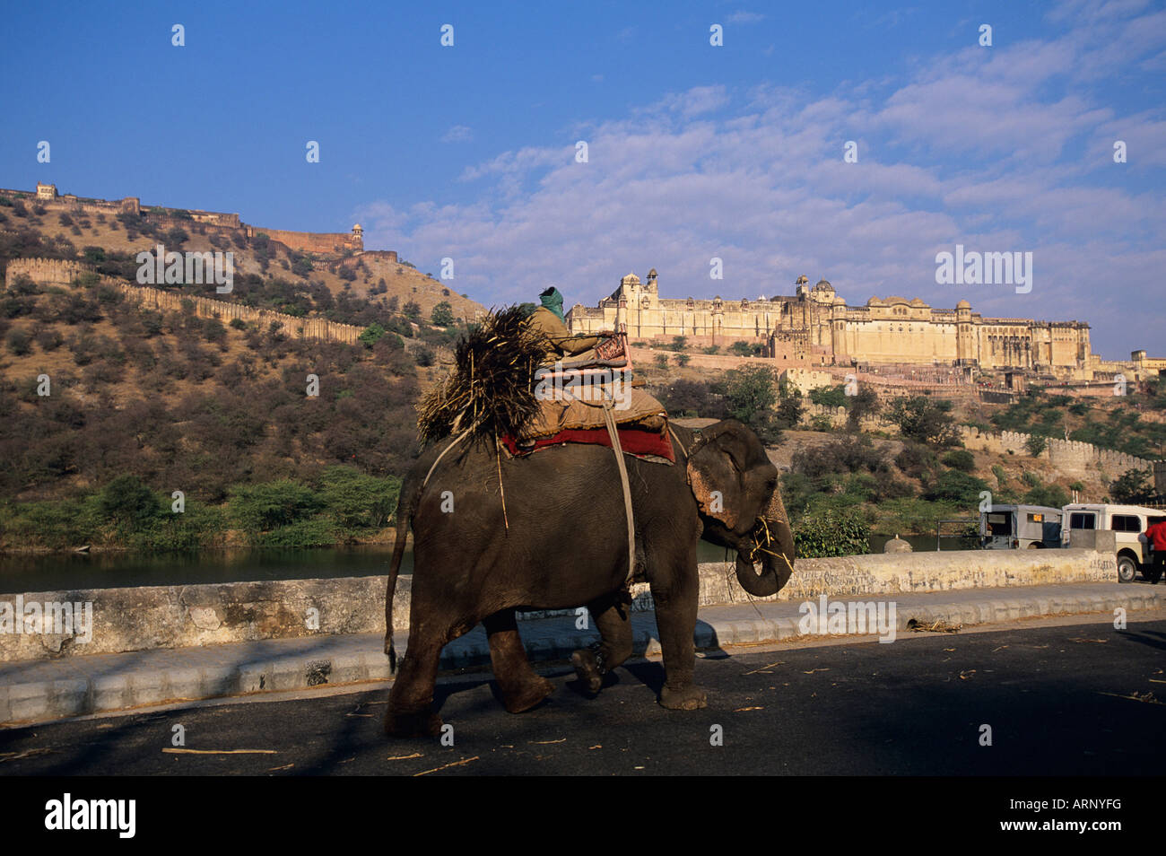 India, Rajsatan, Jaipur area at Amber Fort. Elephant and mahoot Stock ...