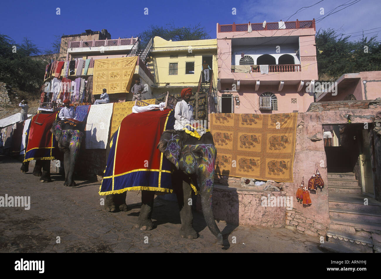 India, Rajsatan, Jaipur area at Amber Fort. Elephants and mahoot Stock ...