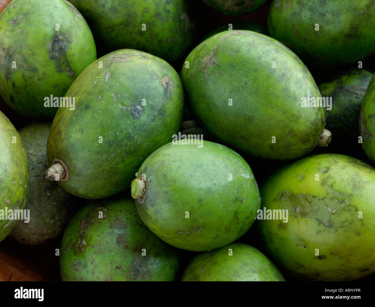 Cytherea hi-res stock photography and images - Alamy