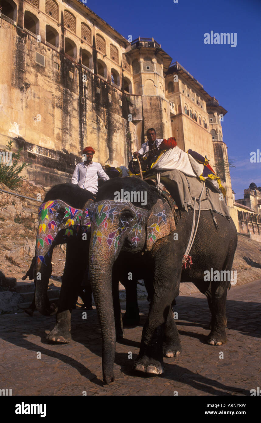 India, Rajsatan, Jaipur area at Amber Fort. Elephants and mahoot Stock ...