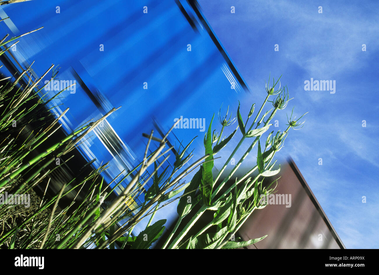 Freight train with motion blur from low angle in grasses Stock Photo ...