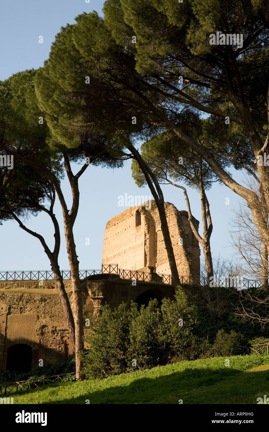 Palatine Hill detail with umbrella pine trees Rome Italy Stock Photo ...