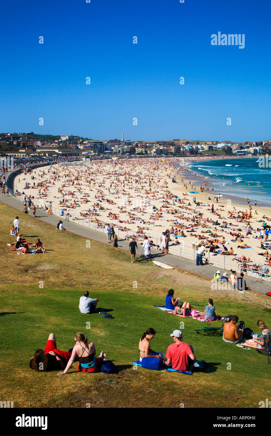 Busy bondi beach hi-res stock photography and images - Alamy