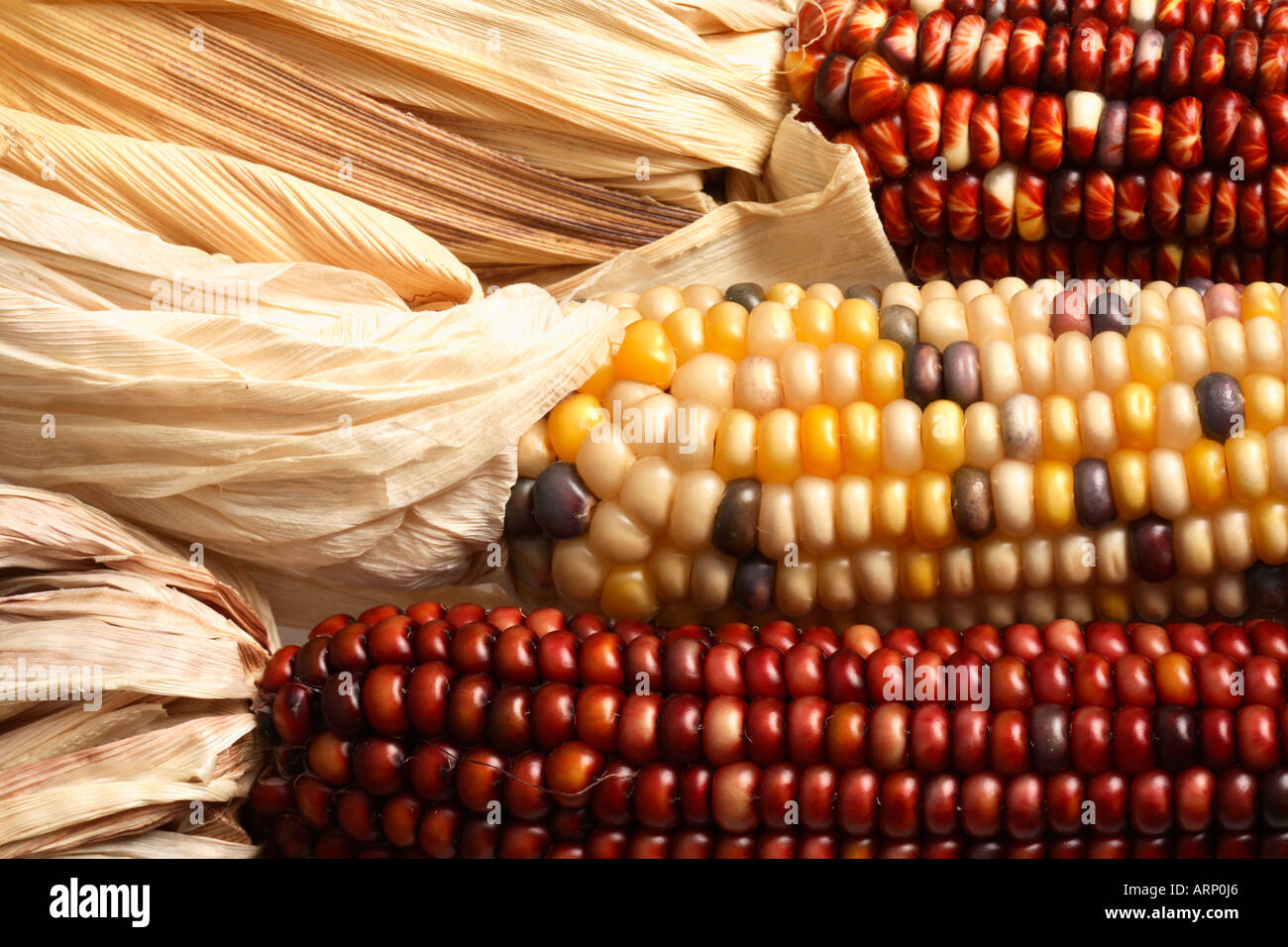 Indian corn hi-res stock photography and images - Alamy