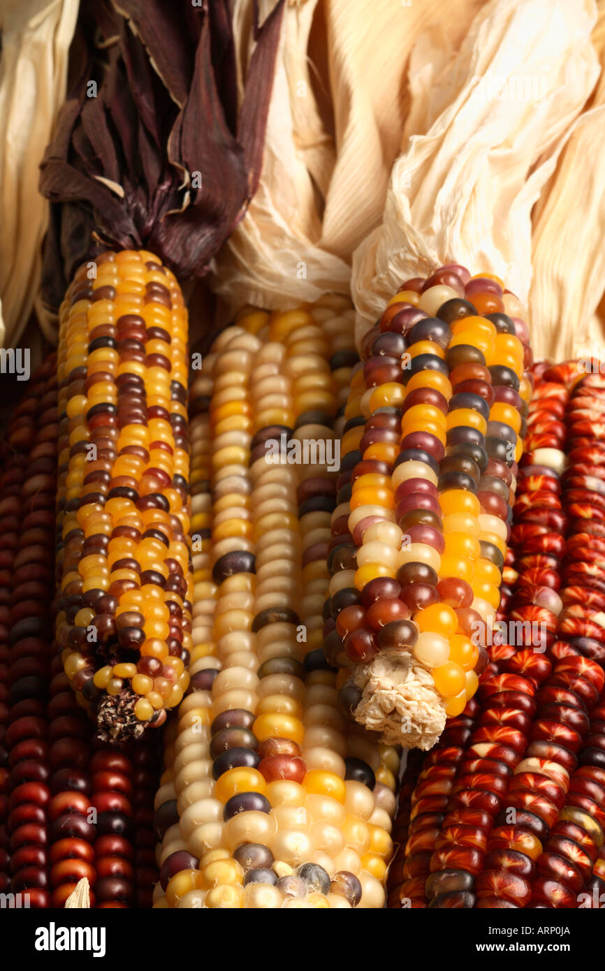 Indian types hi-res stock photography and images - Alamy