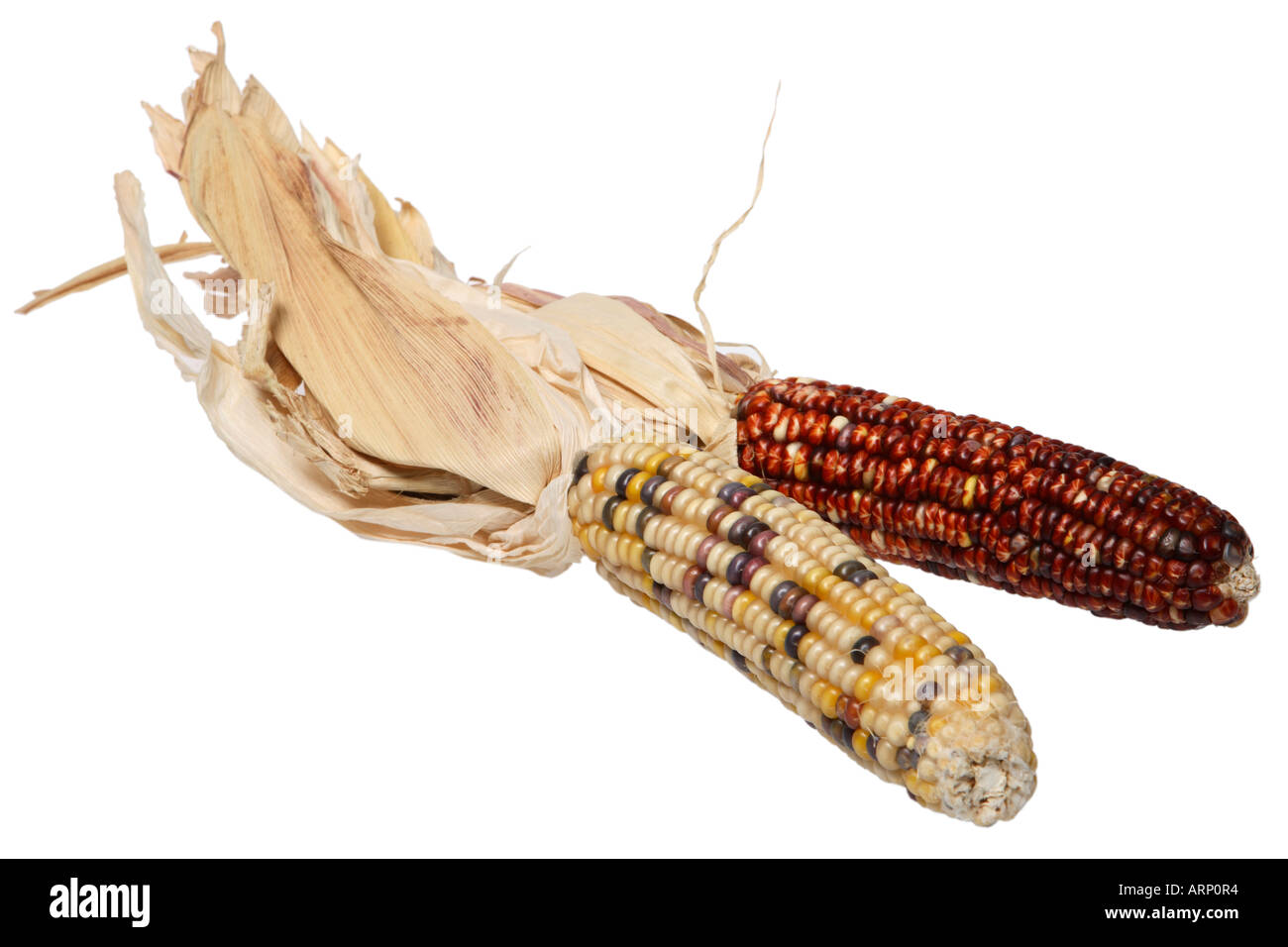 Indian corn hi-res stock photography and images - Alamy