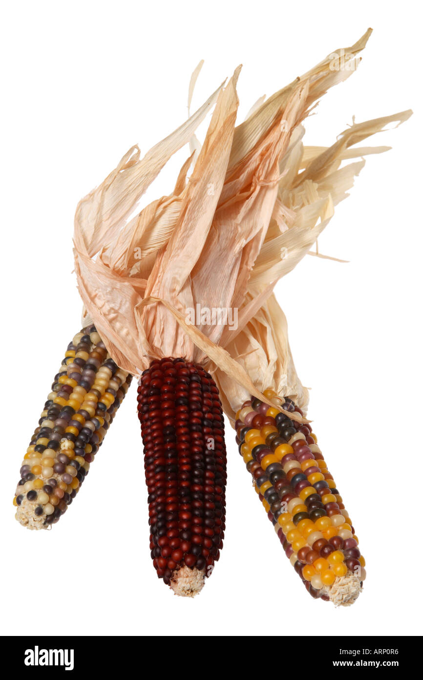 Indian Corn Husk Stock Photos & Indian Corn Husk Stock Images - Alamy