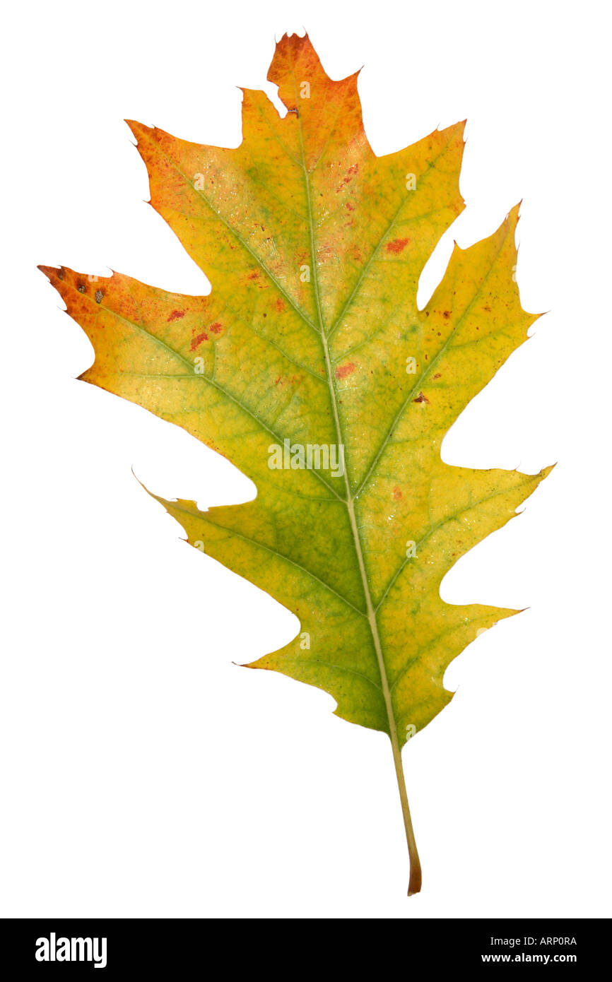 Changing into Cut Out Stock Images & Pictures - Alamy