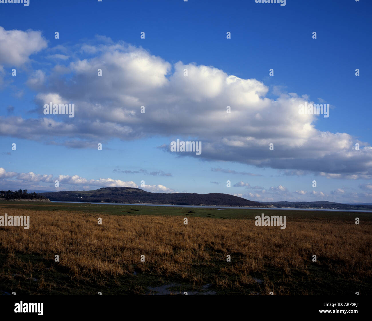 Salt marsh and estuary of The River Kent Grange-over-Sands Arnside ...
