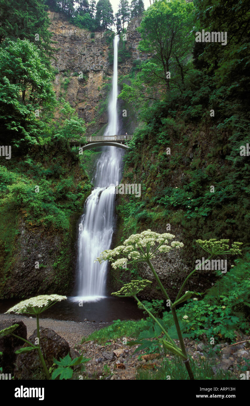 USA, Oregon, Columbia River Gorge Area, scenic waterfalls, Multonomah ...