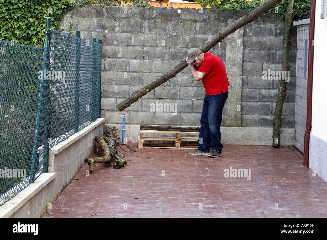 Man carrying tree trunk Stock Photo - Alamy