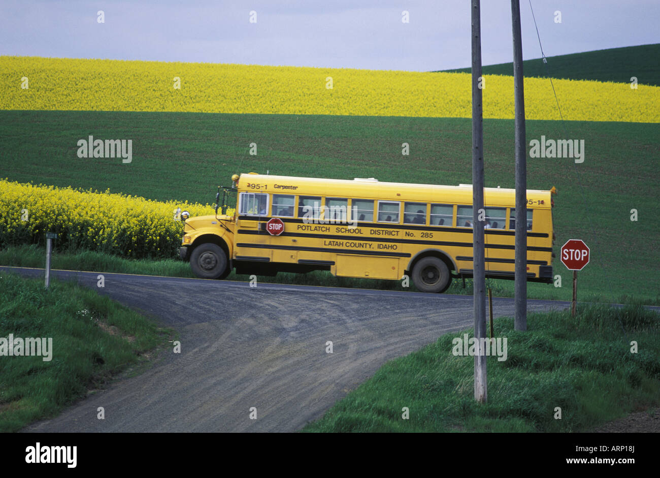 USA, Idaho, School bus on country road Stock Photo - Alamy