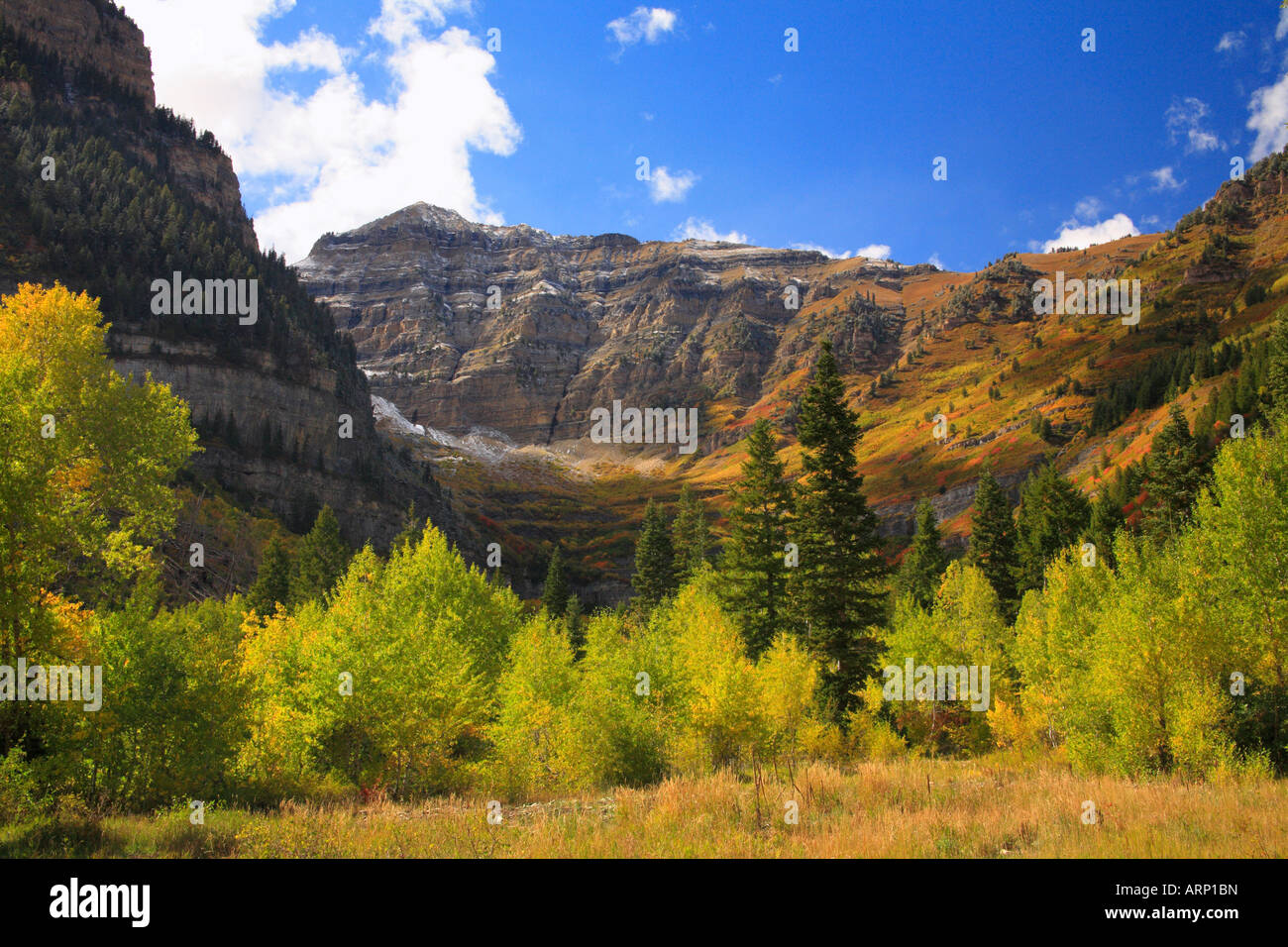 Fall color mount timpanogos hi-res stock photography and images - Alamy
