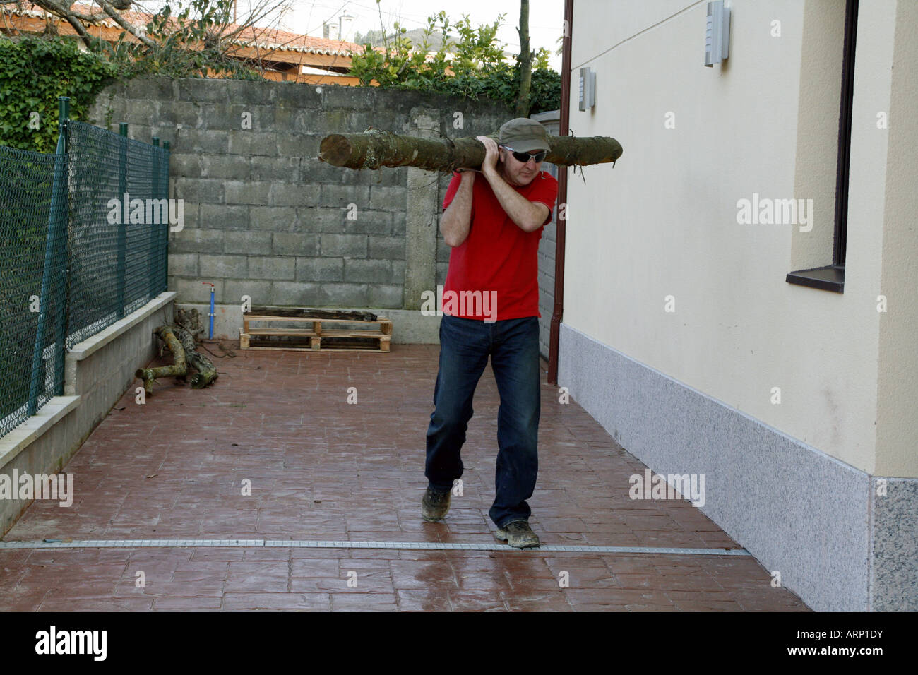 Man carrying tree trunk Stock Photo - Alamy