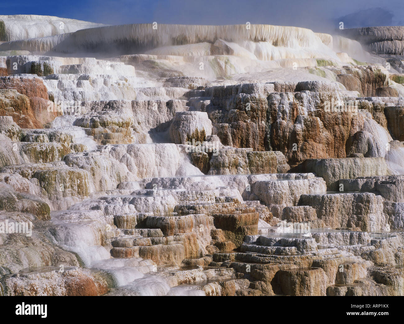 USA, Yellowstone National Park, Canary Springs at Mammoth Stock Photo ...