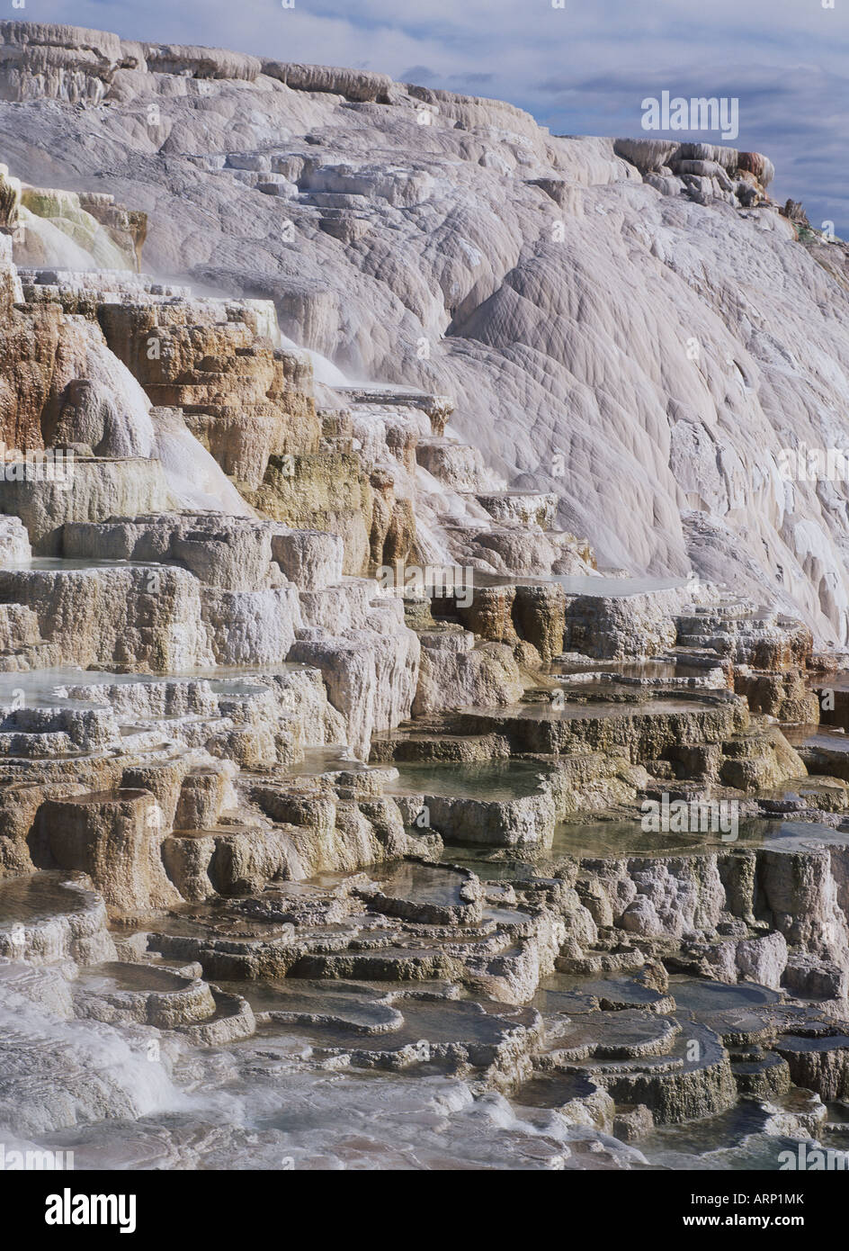 USA, Yellowstone National Park, Canary Springs at Mammoth Stock Photo ...