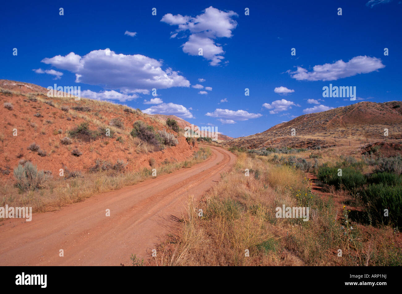 USA, Utah, dirt road through scrublands, cumulus clouds Stock Photo - Alamy