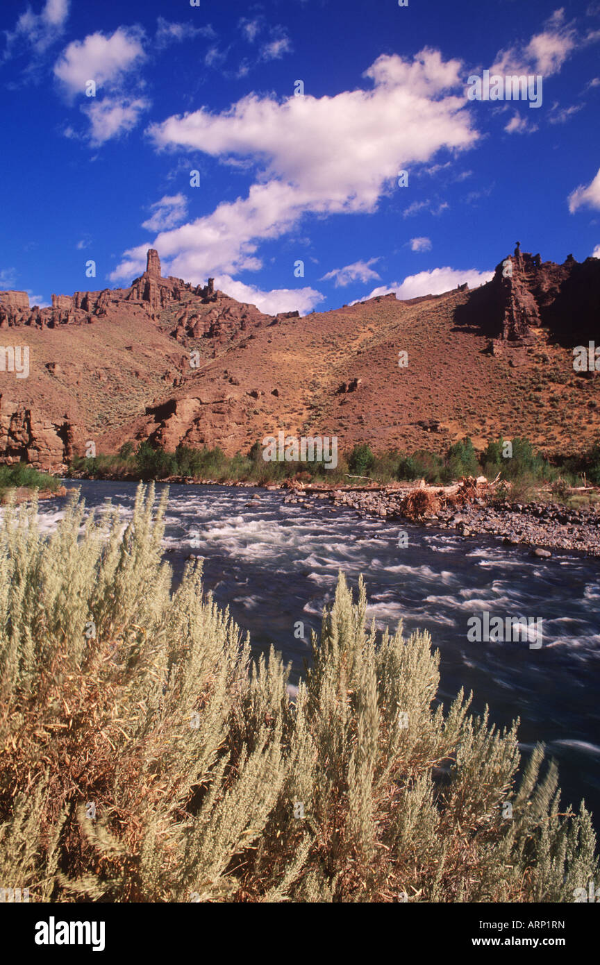 Shoshone river valley hi-res stock photography and images - Alamy