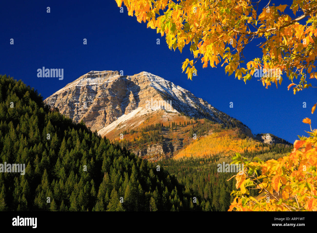 Mount Timpanogos, Alpine Loop, Provo, Utah, USA Stock Photo - Alamy
