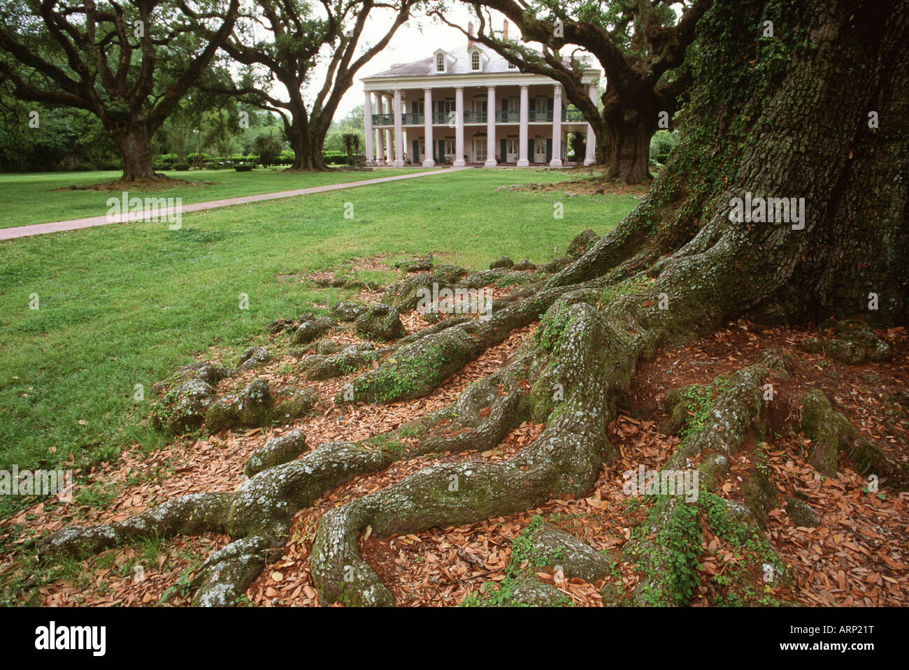 USA, Louisiana, Oak Alley Plantation Stock Photo - Alamy