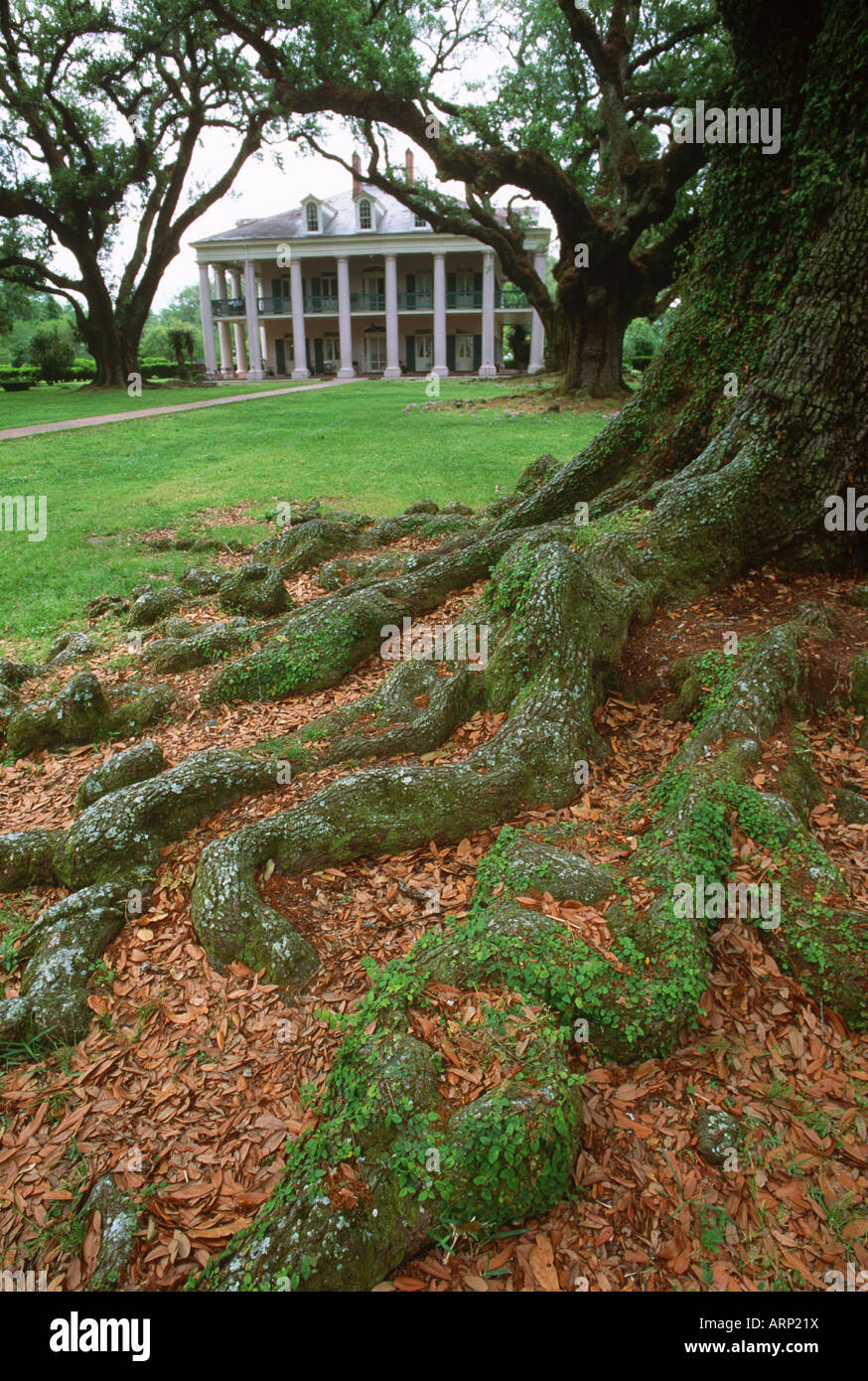 USA, Louisiana, Oak Alley Plantation Stock Photo - Alamy