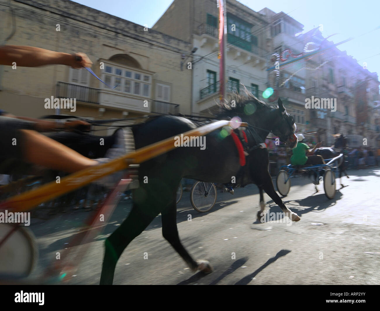 Horse capture hi-res stock photography and images - Alamy