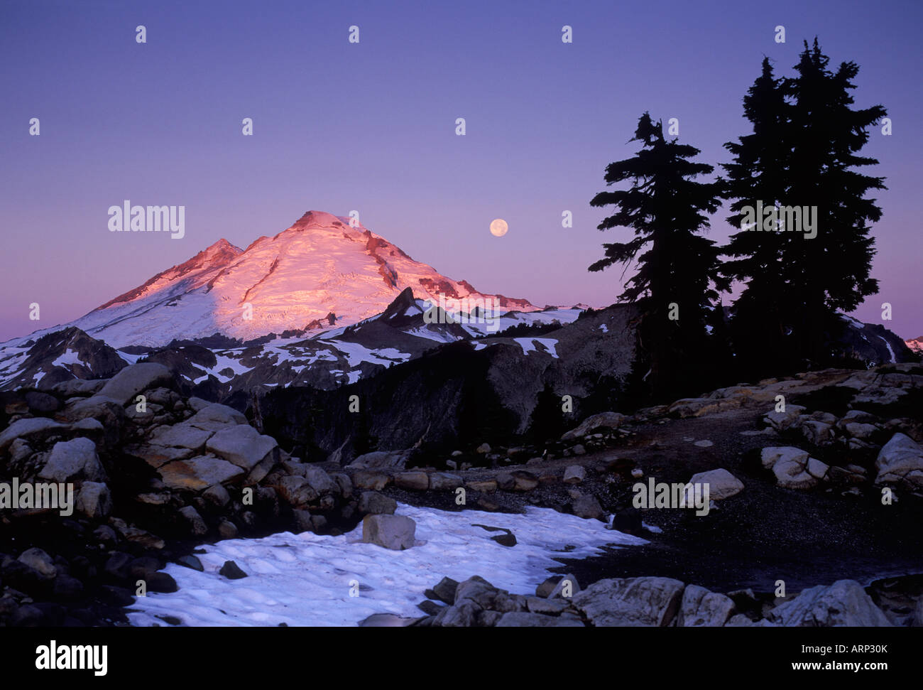 USA, Washington State, Mount Baker at sunrise with moon setting Stock ...