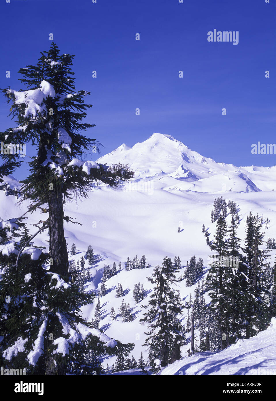 USA, Washington State, Mount Baker Recreation Area Stock Photo - Alamy