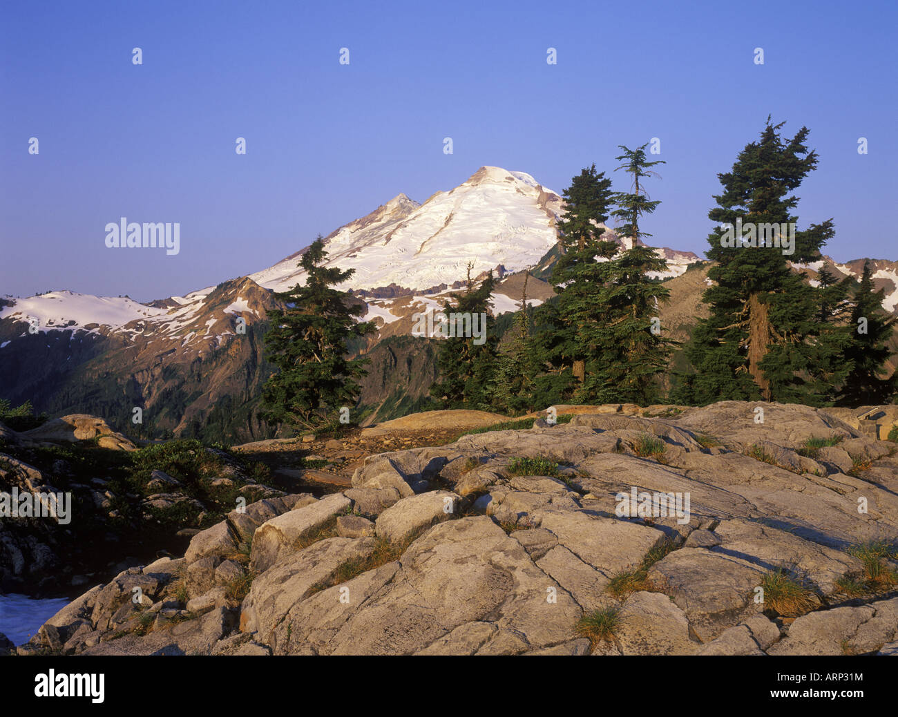 USA, Washington State, Mount Baker Recreation Area Stock Photo - Alamy
