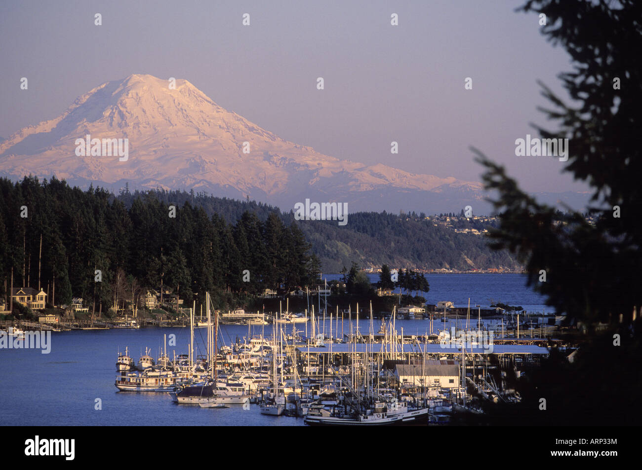 USA, Washington State, Gig Harbour with Mt. Rainier beyond Stock Photo ...
