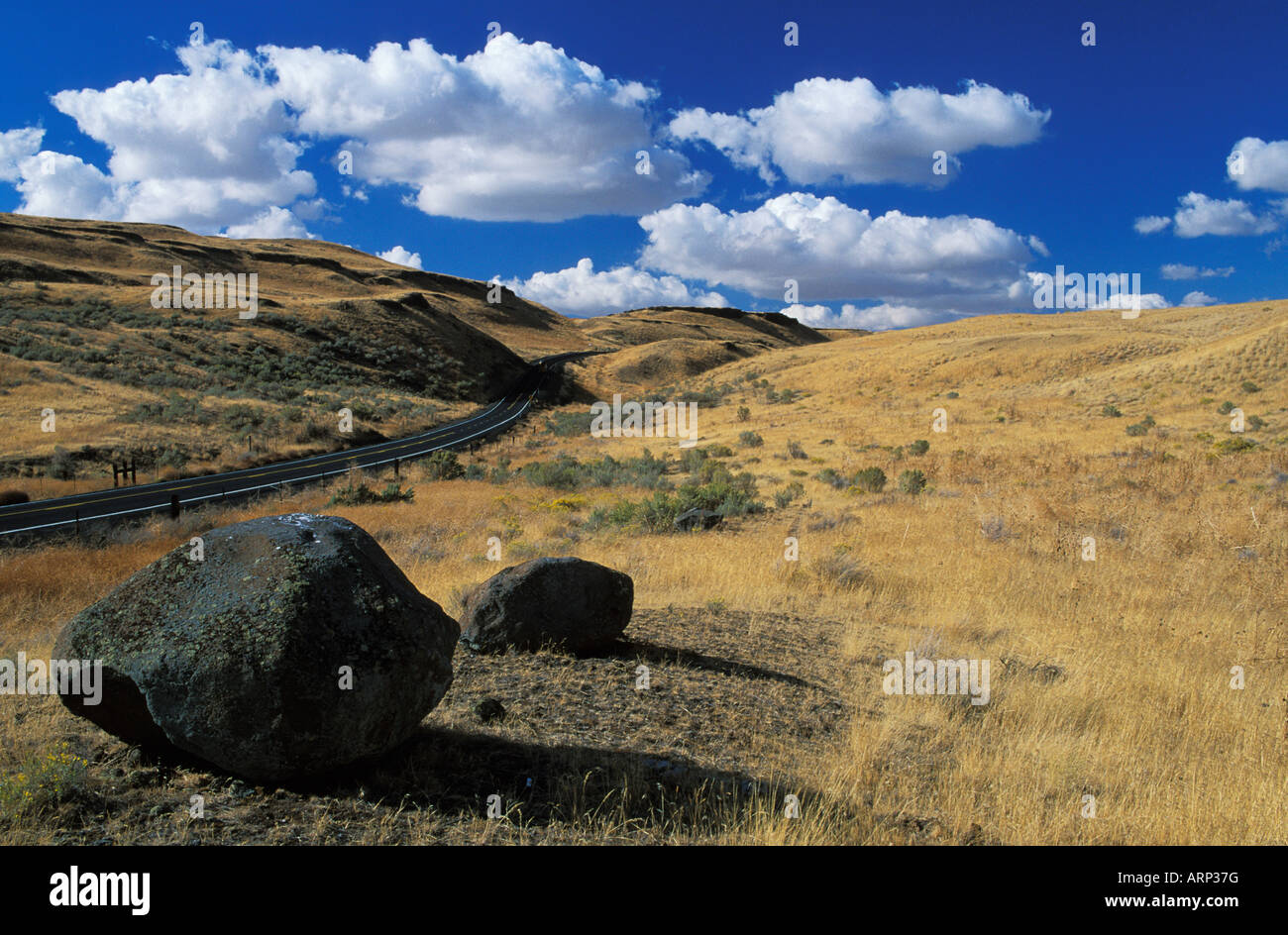 USA, Washington State, Palouse region of eastern washington - roadway ...