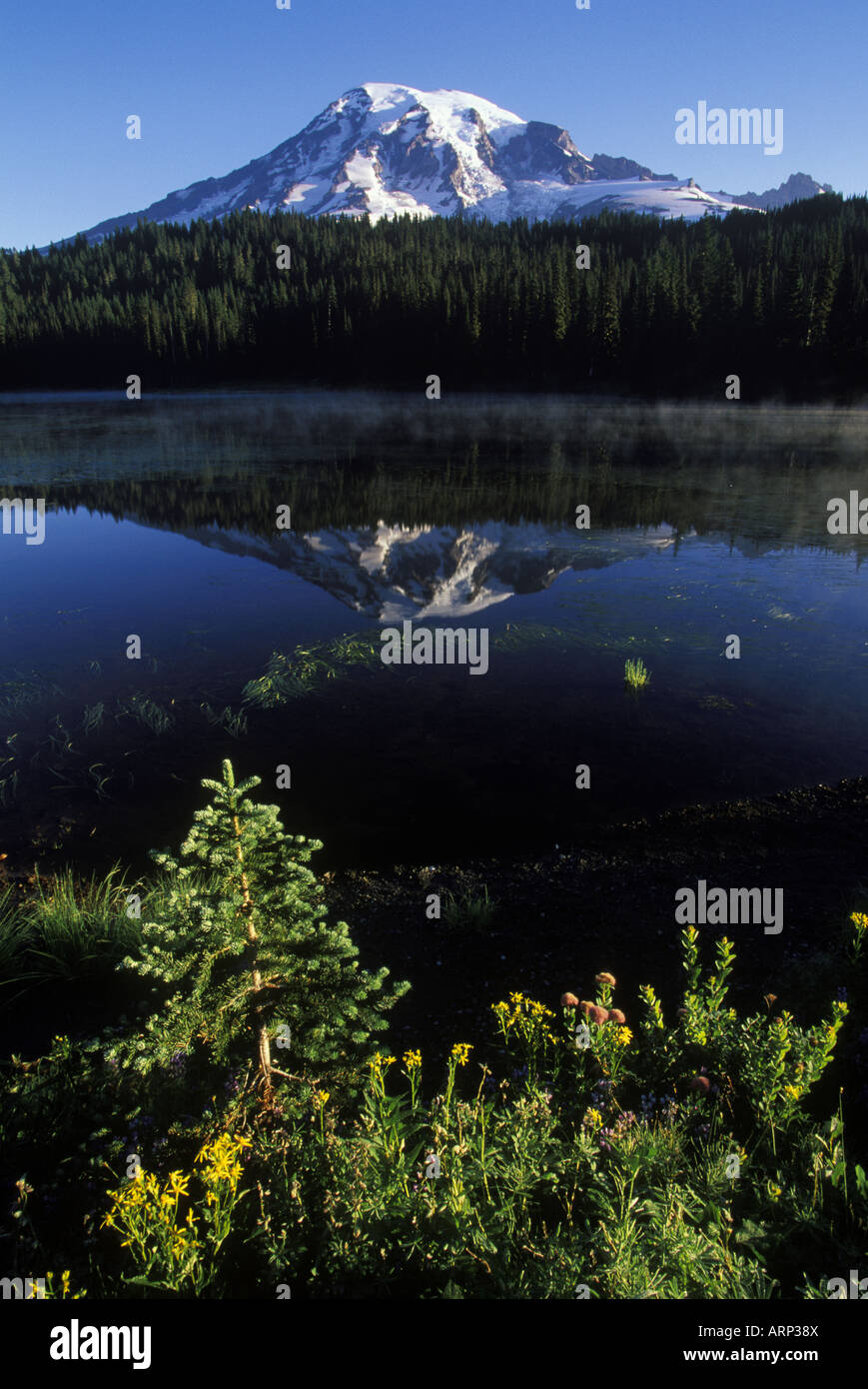 USA, Mount Rainier National Park, morning view from Reflection Lake ...