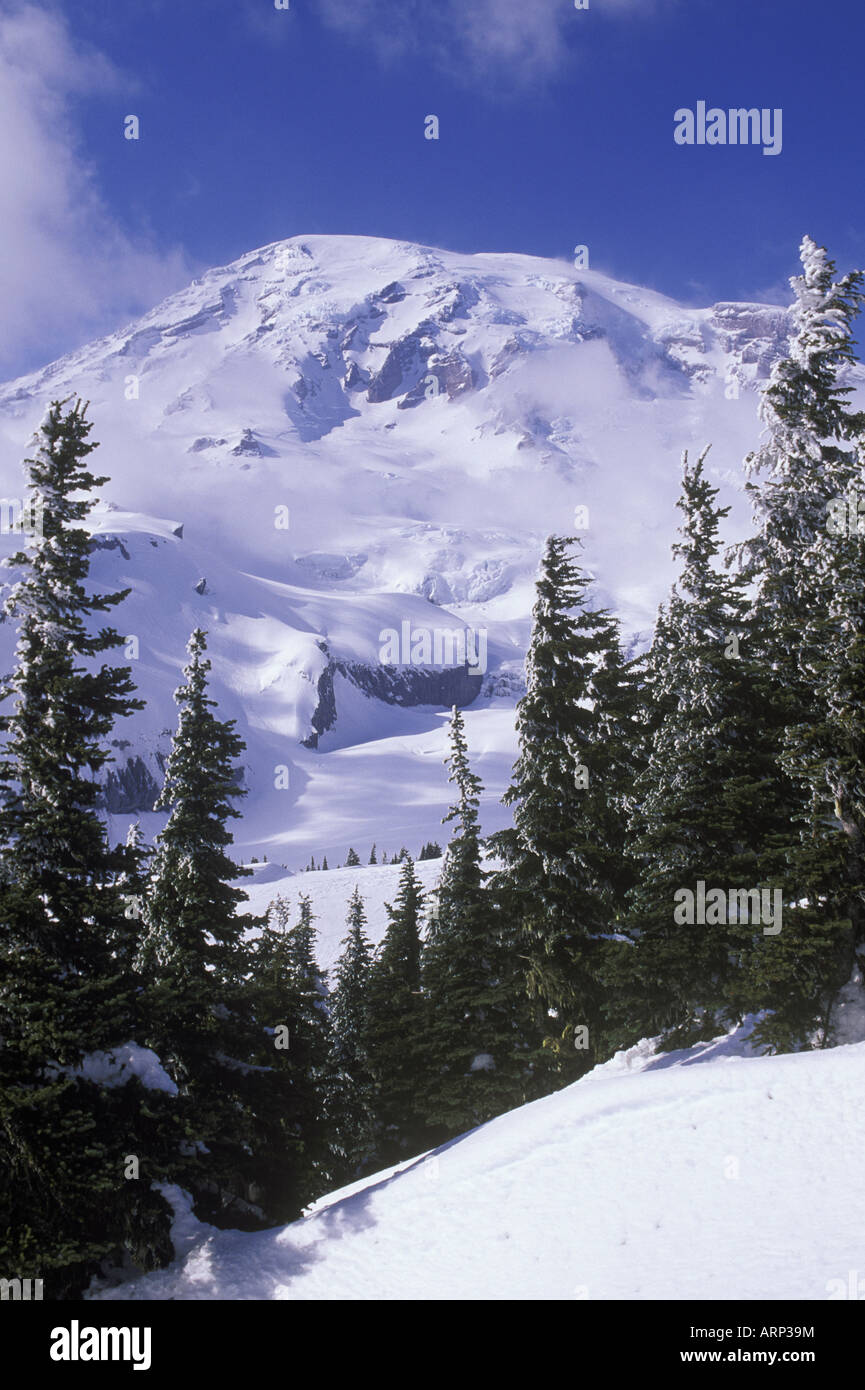 USA, Mount Rainier National Park in winter Stock Photo - Alamy