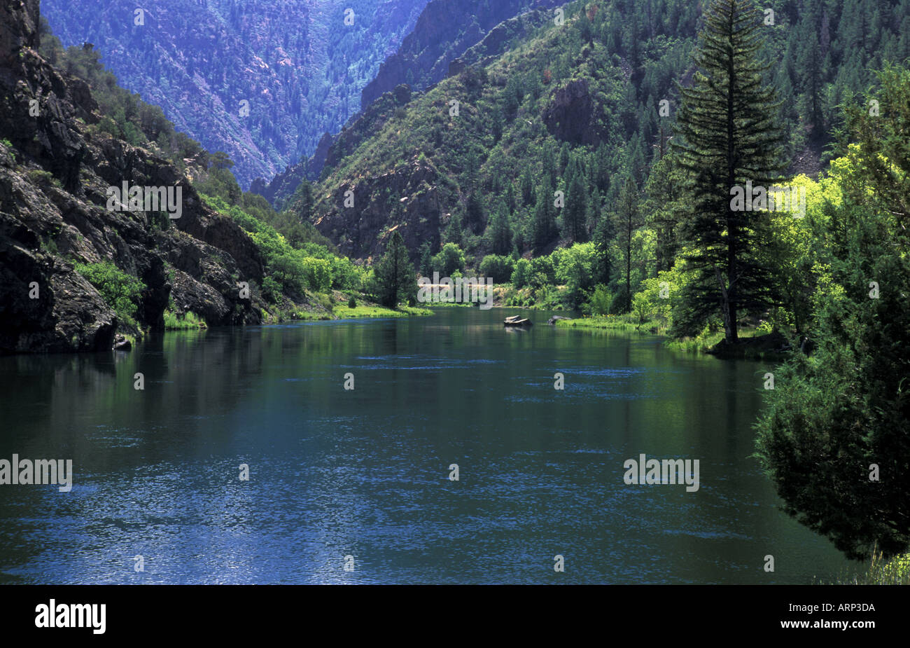 Bankside view of the Gunnison River Colorado at the Black Canyon of the ...