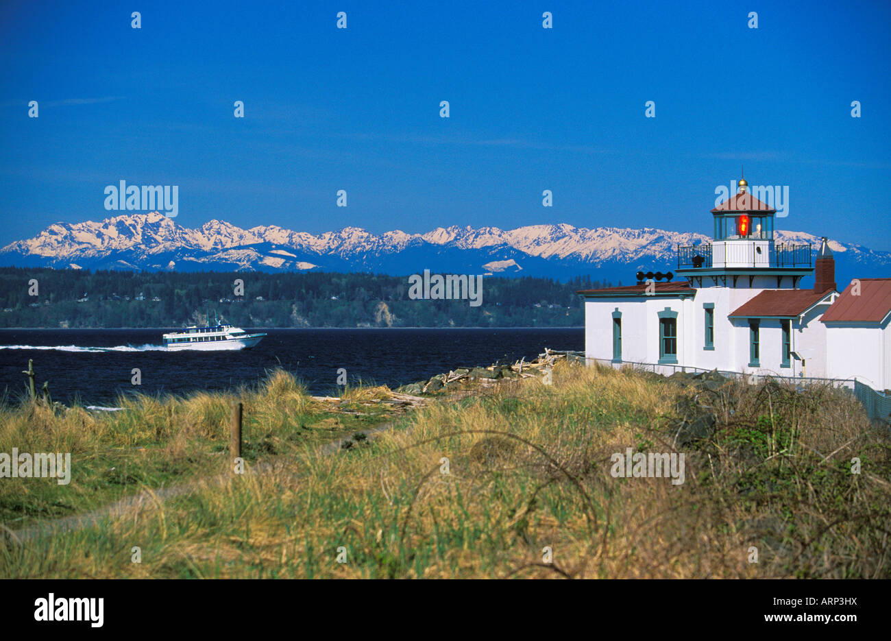 Discovery park seattle puget hi-res stock photography and images - Alamy