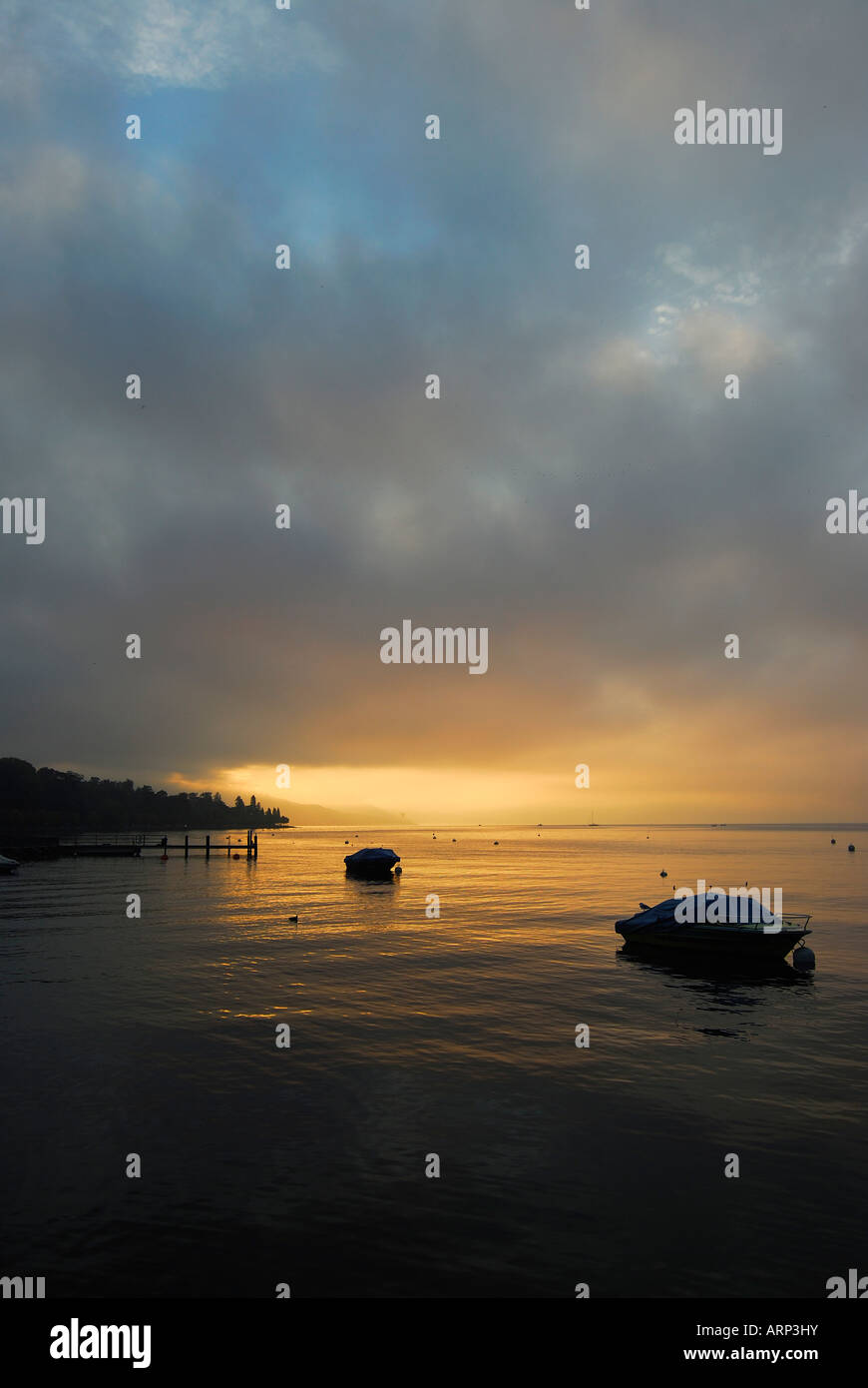 portrait aspect landscape of lake geneva at dawn Stock Photo - Alamy